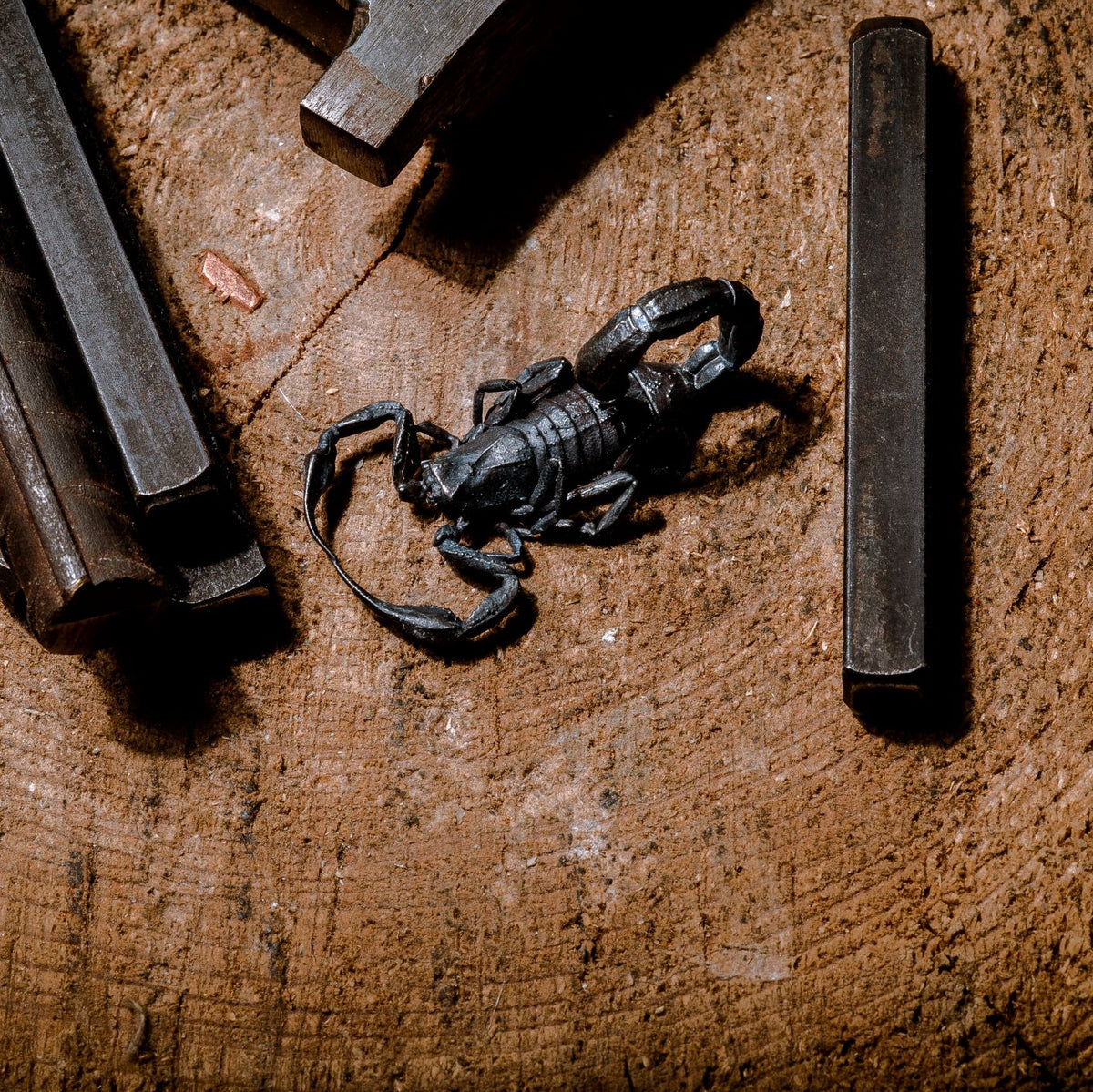 Silver Scorpion – Coppertist