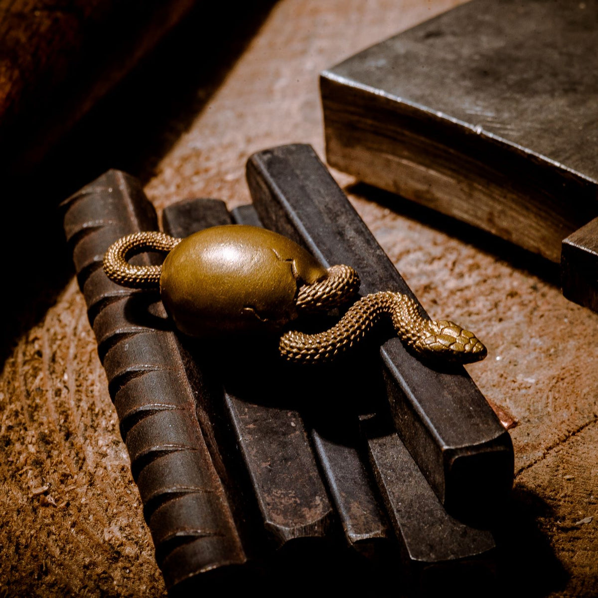 Hatching Snake – Coppertist