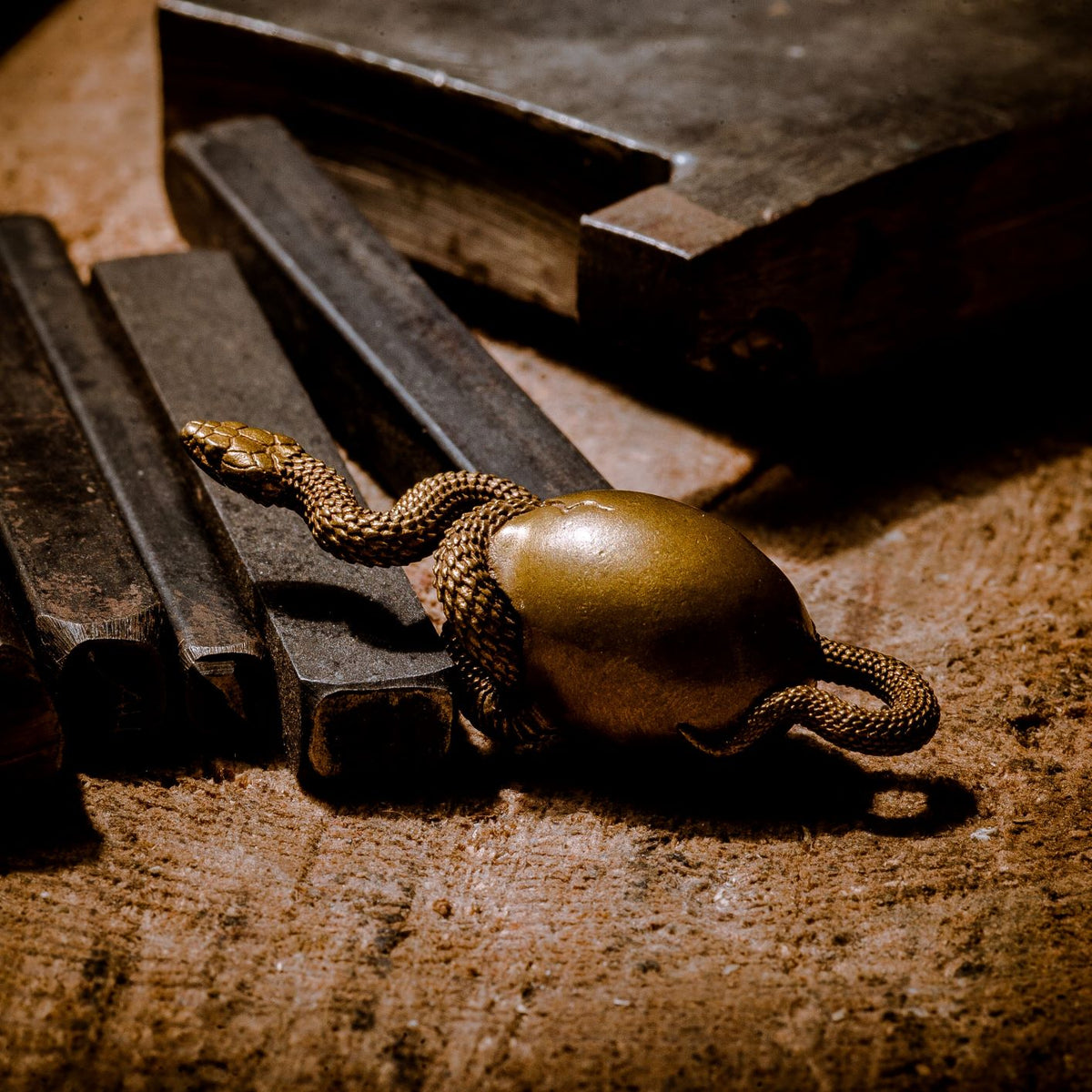 Hatching Snake – Coppertist