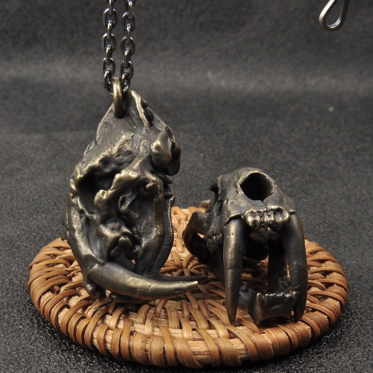 Saber Tooth Tiger – Coppertist